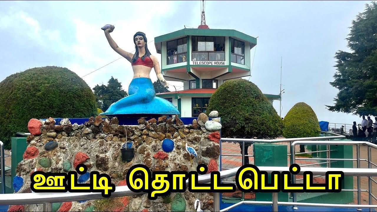 ️🌿 Ooty dodda betta | ஊட்டி தொட்டபெட்டா | 😁tourist place🫵 | all in one ...