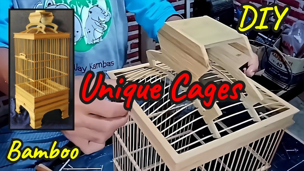 How to make a bird cage | DIY a beautiful and unique bird cage - YouTube