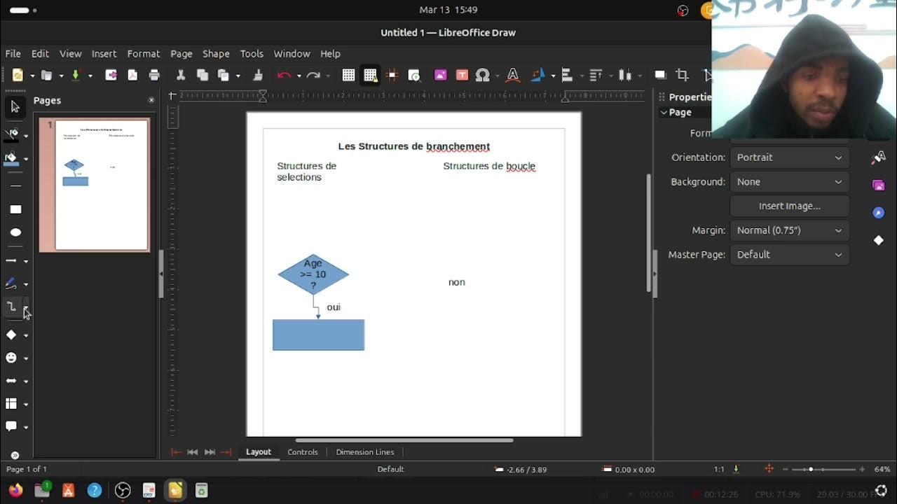 Algorithm: branching structures - YouTube