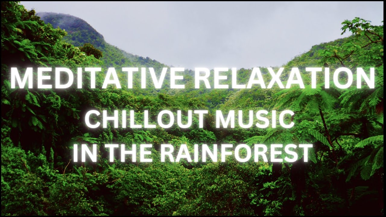 BEAUTIFUL RELAXATION MUSIC / CHILL OUT IN THE RAINFOREST - YouTube