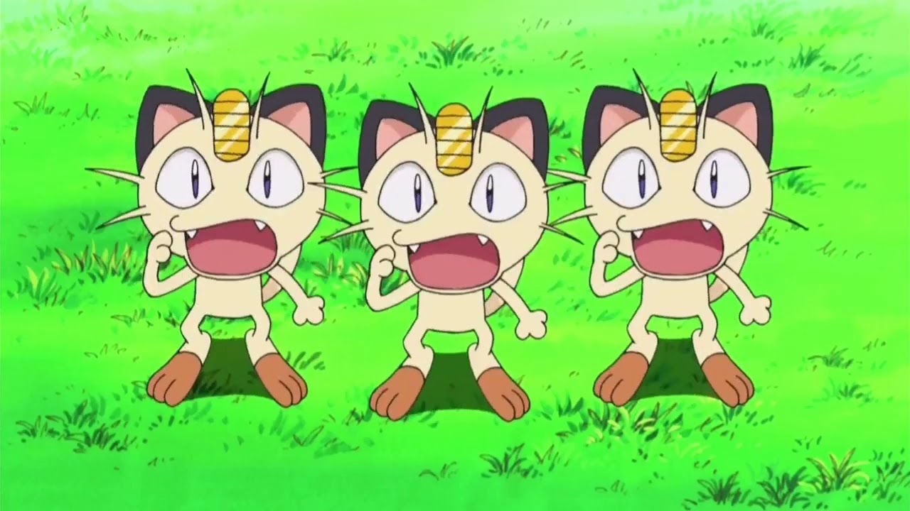 Los ditto se transforman en meowth y en wobbuffet - YouTube