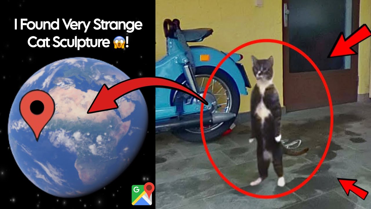 😰I Found Very Strange Giant Cat 🐈 On Google earth and Google maps 🌎 ...