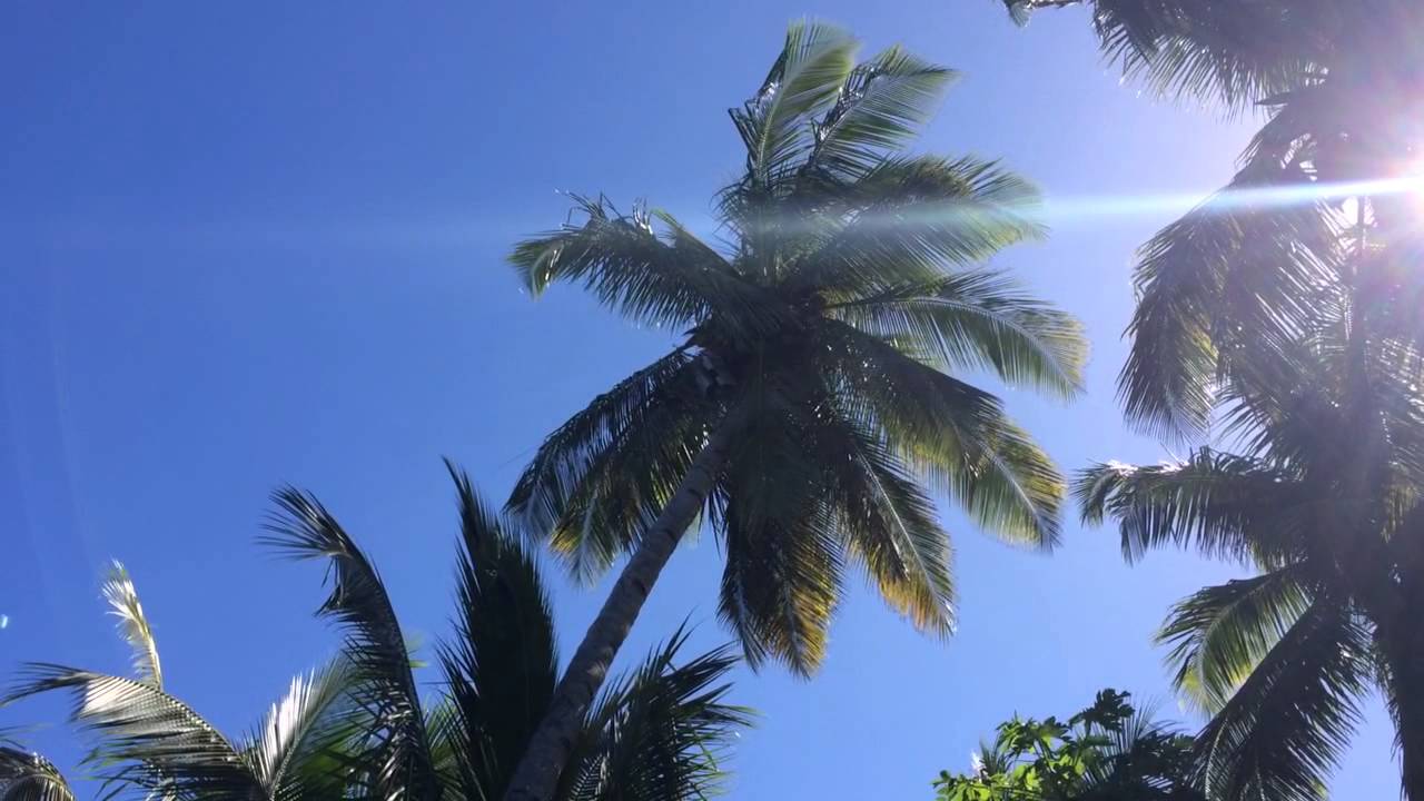 IMG 1316 YouTube IMG 1316 YouTube