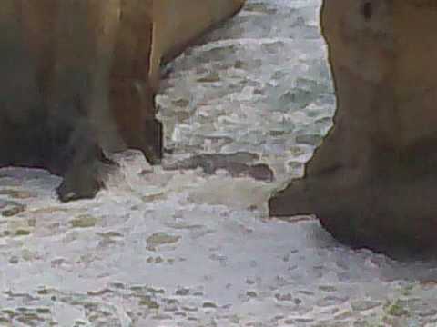 Loch Ard Gorge, Island Archway Collapse, first video footage 1/2 - YouTube