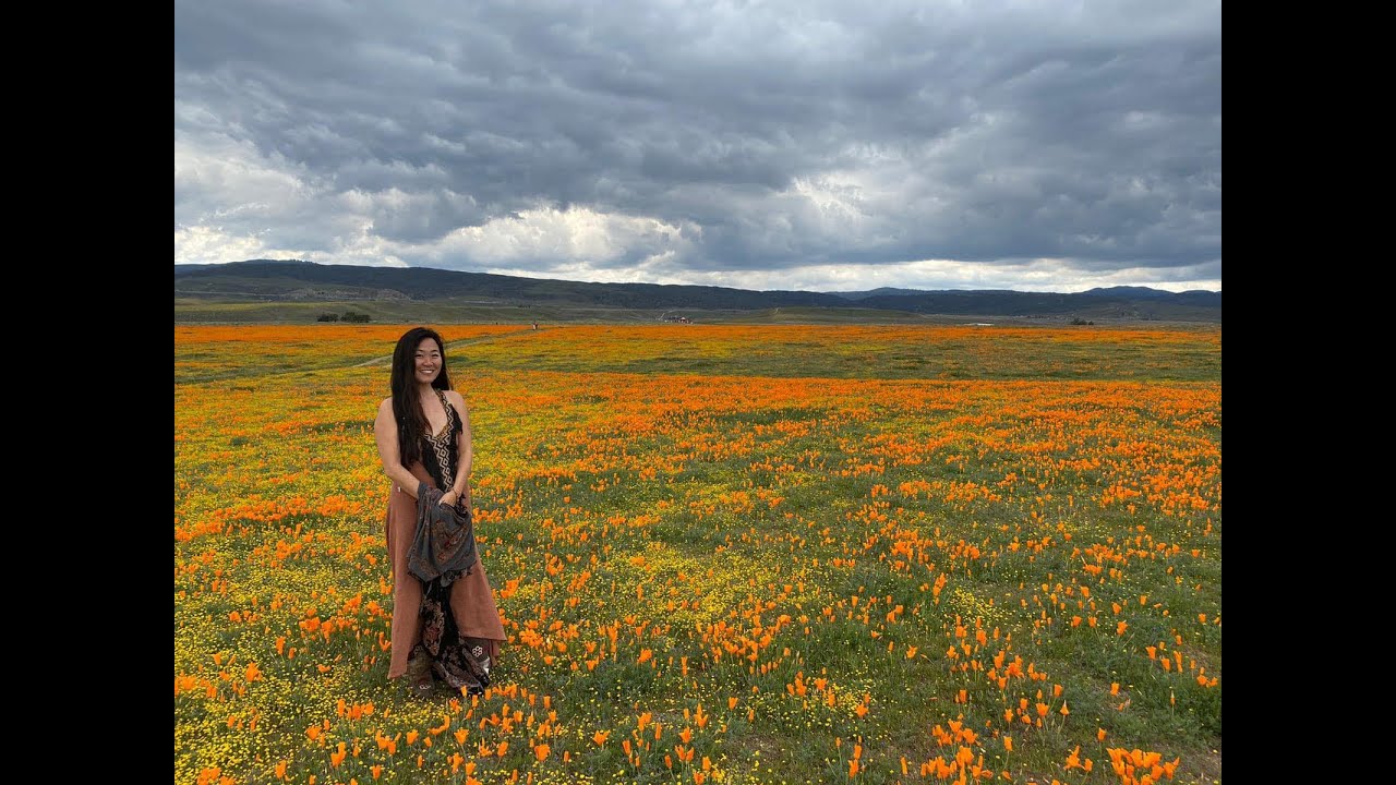 Jamie Shadowlight, Flow To Fly (solo) - YouTube