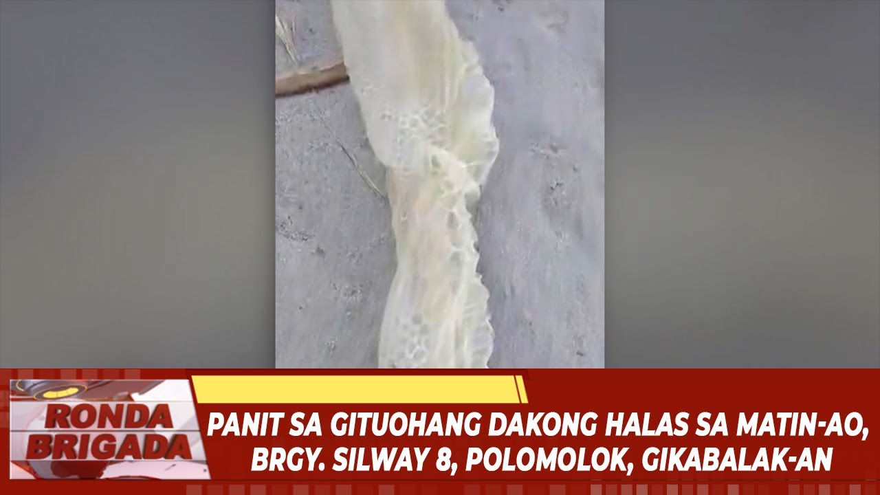 Panit sa gituohang dakong halas sa Matin-ao, Brgy. Silway 8, Polomolok ...