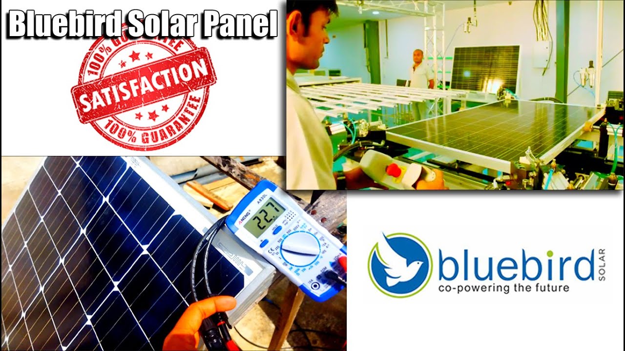 Solar Panel || Full Details of Bluebird solar panels with connections ☀ ...