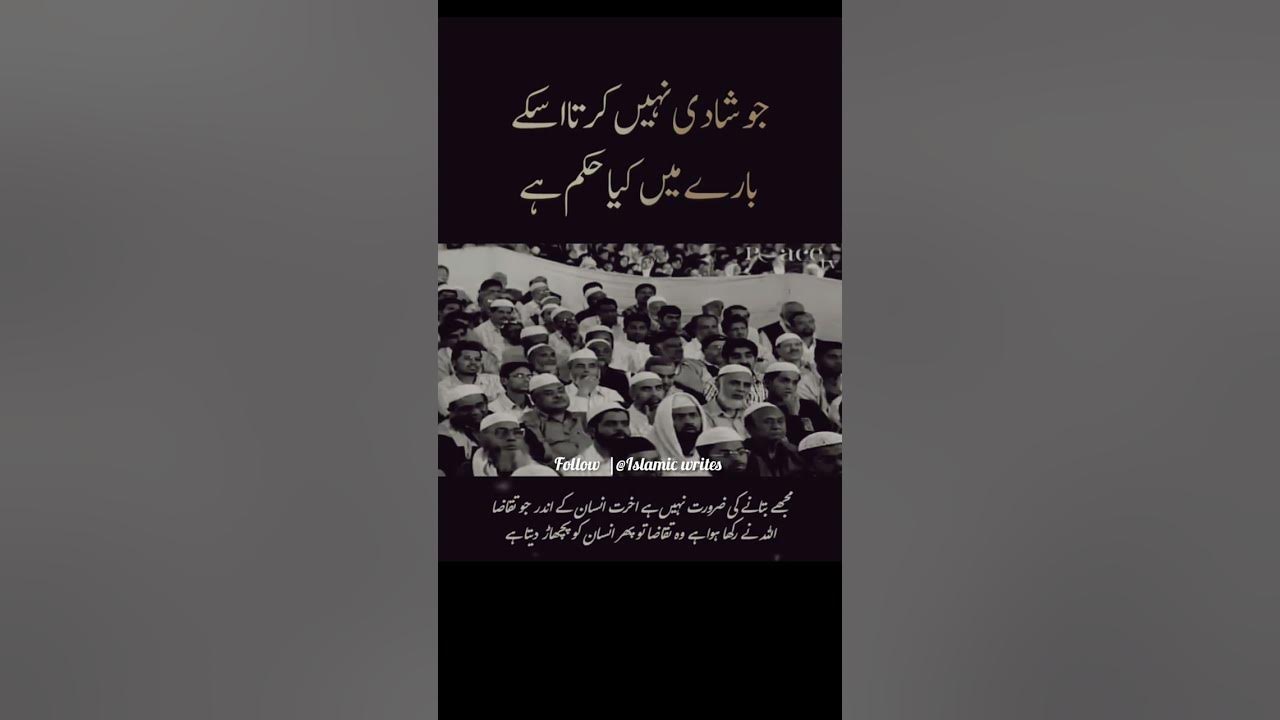 جو شخص شادی نہیں کرنا چاہتاbayanvideofeedviralfeedsvideosviralislamicwrites4011