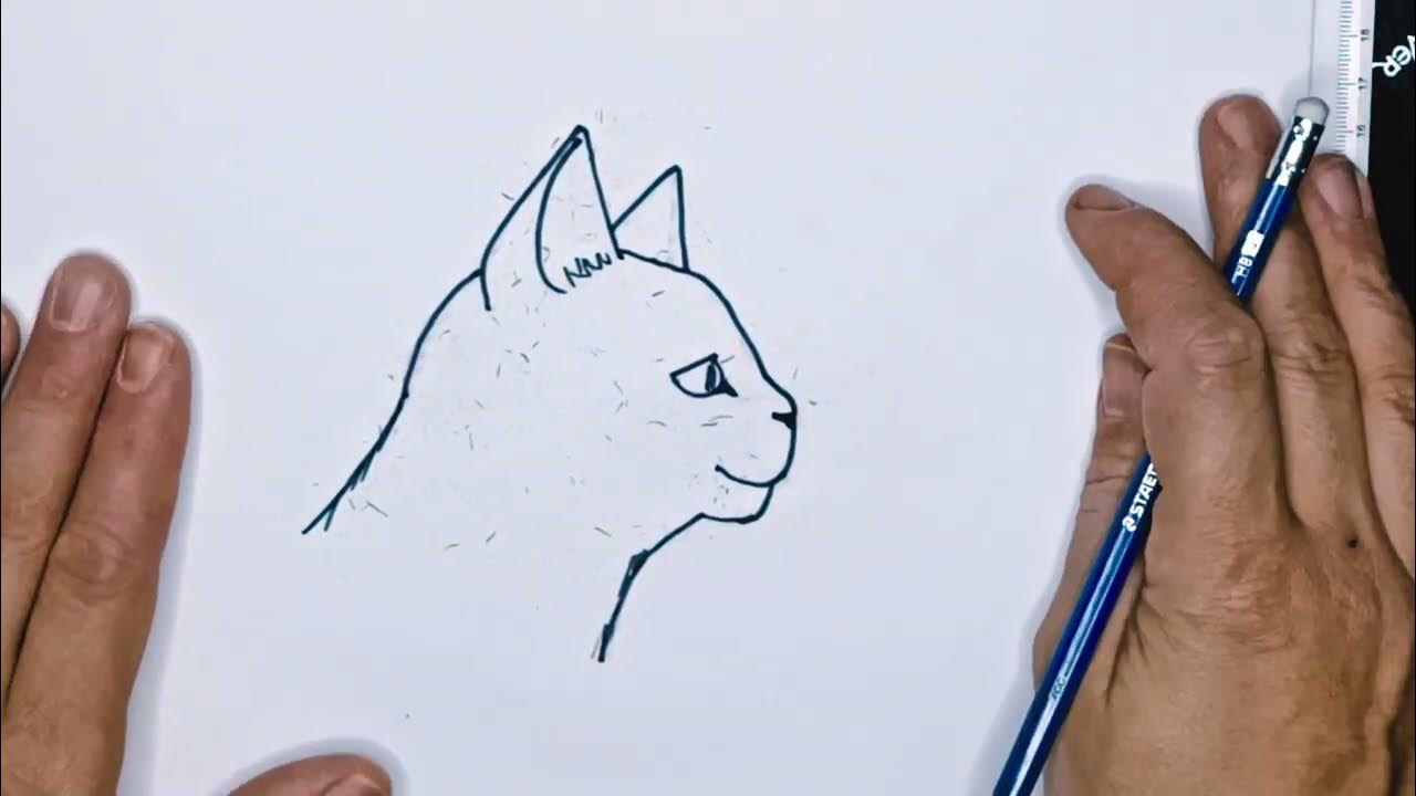 How To Draw a Cat- Cats head/face from the side - Step By Step Tutorial ...