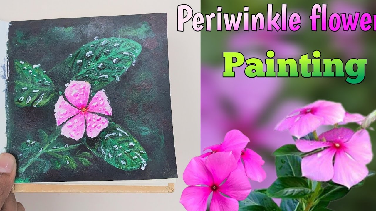Periwinkle flower painting 🌸☘️| how to paint periwinkle flower 💖🌸| periwinkle flower art ...