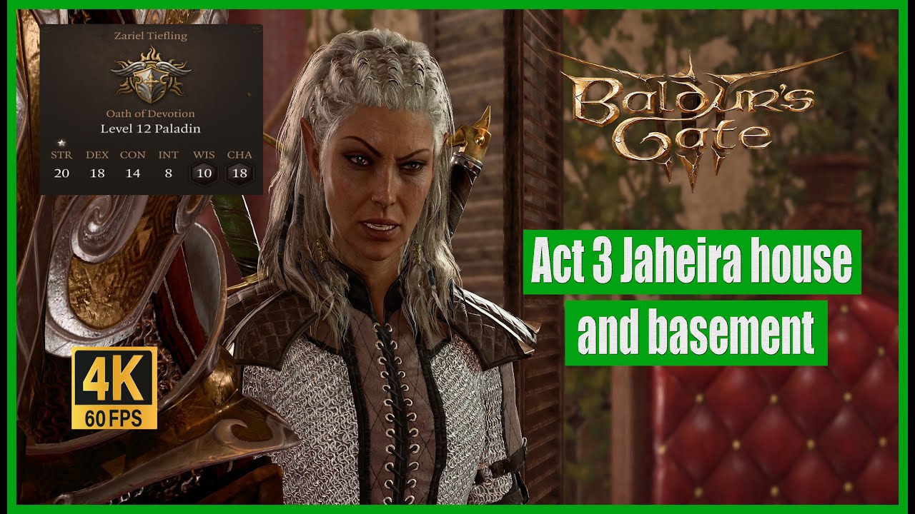 Baldur's Gate 3 Walkthrough Act 3 Jaheira house and basement - YouTube