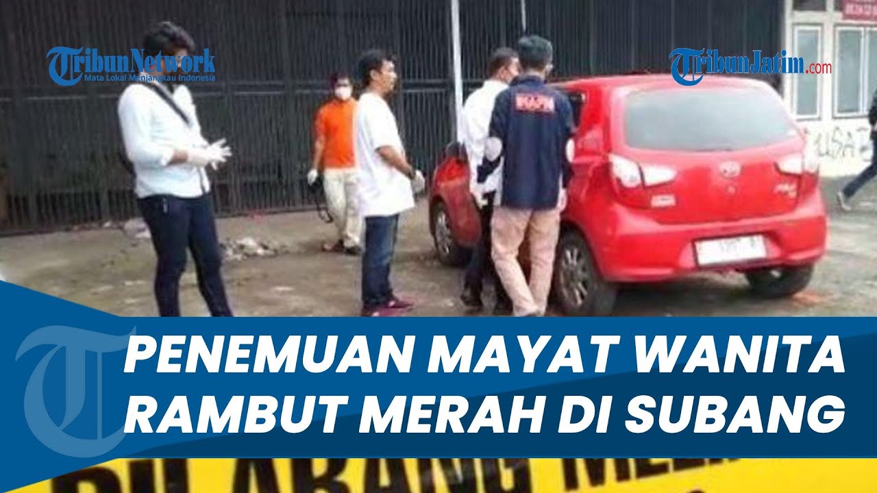 Terbakar dan Ada Luka Sayat, Mayat Wanita Rambut Merah Ditemukan dalam ...