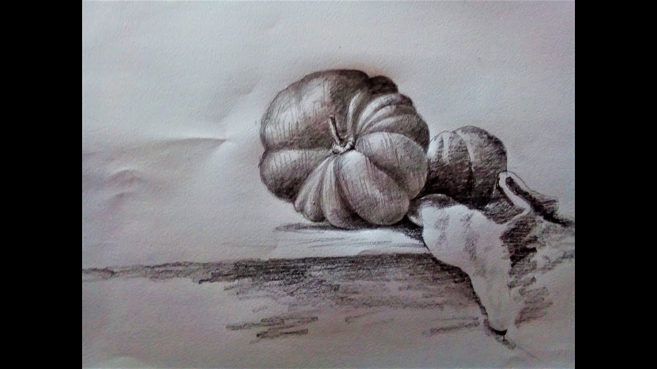 Learn how to draw capsicum and shade it. - YouTube