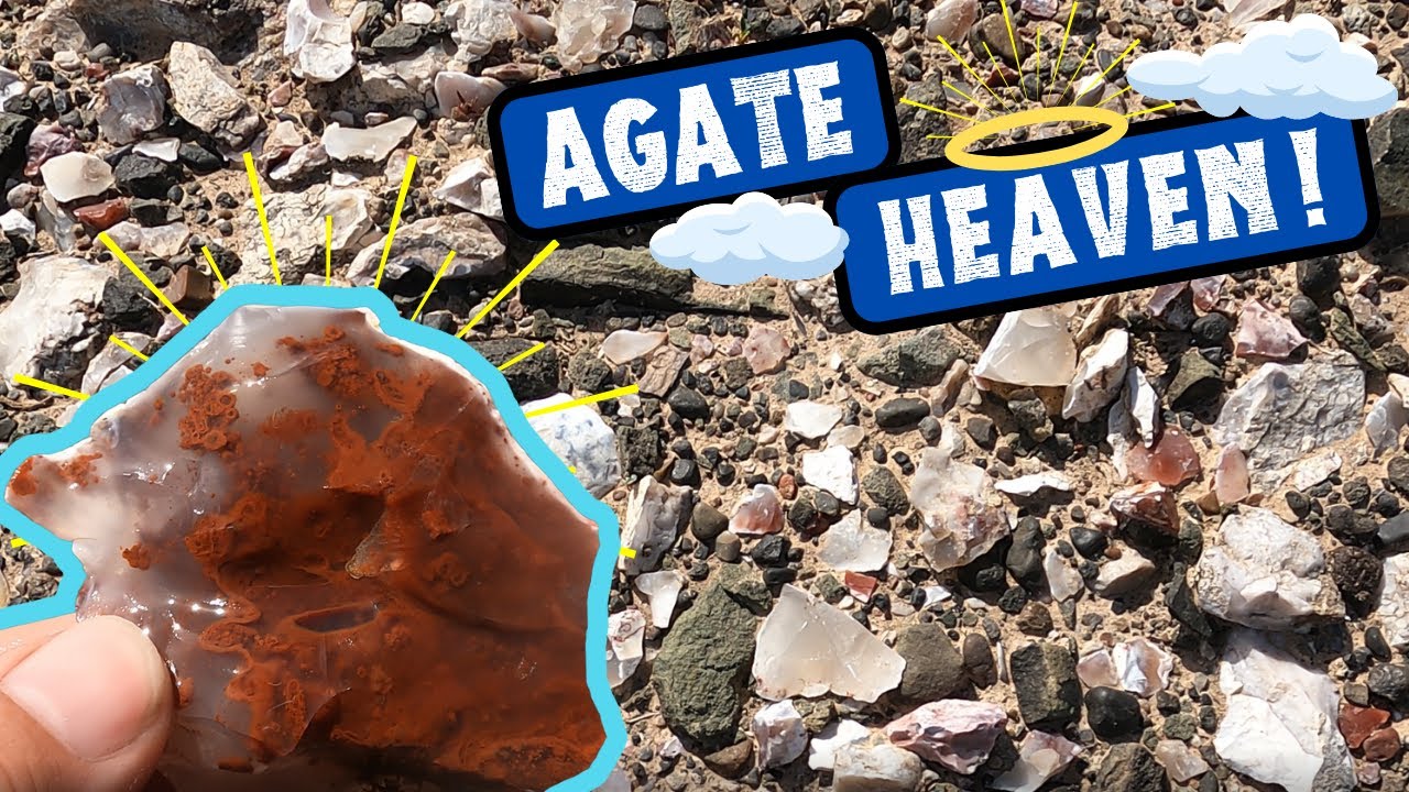 Rockhounding for Crazy Pigeon Blood Agates in Utah! - YouTube