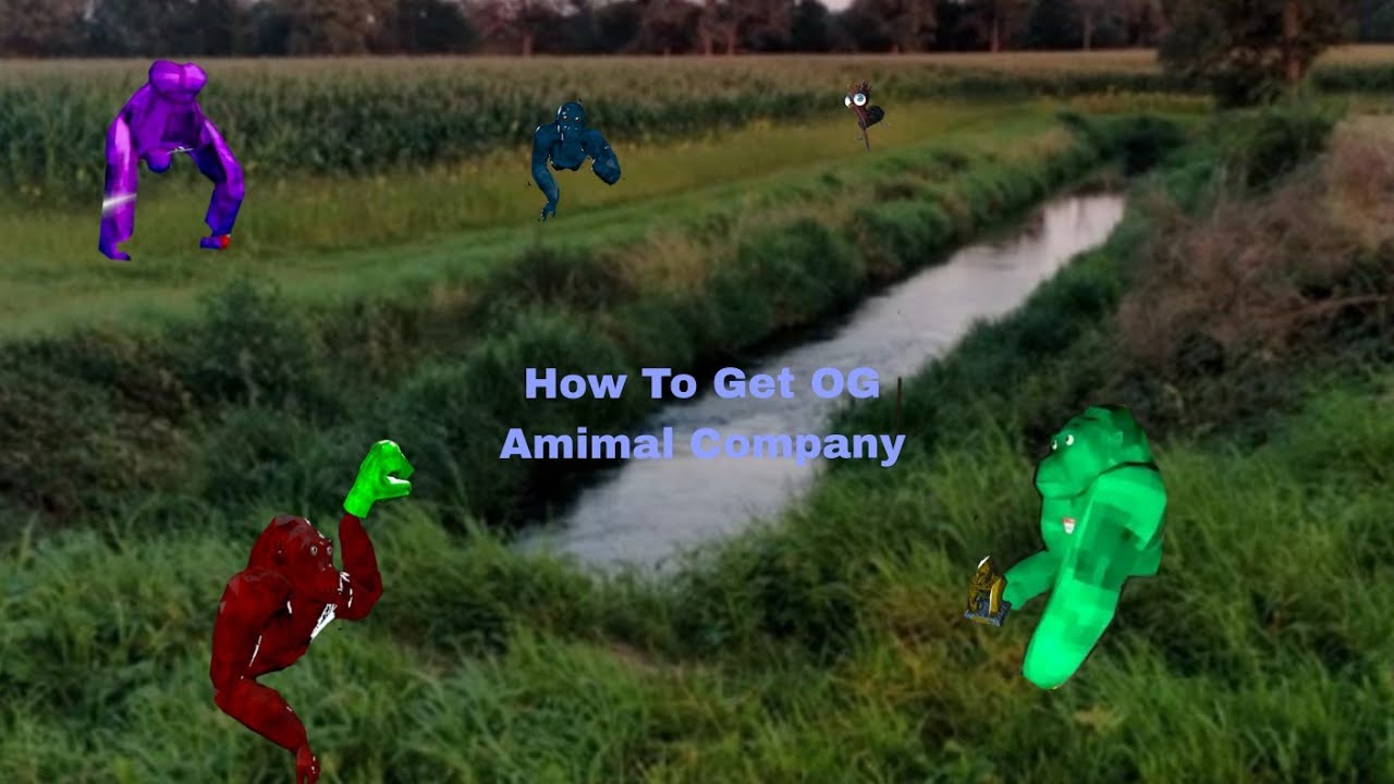 How To Get OG Animal Company - YouTube
