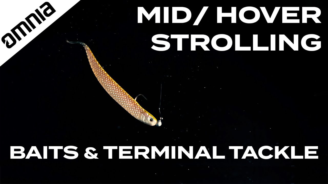 The BEST Lure Choices for Hover/ Mid Strolling (Forward Facing Sonar ...