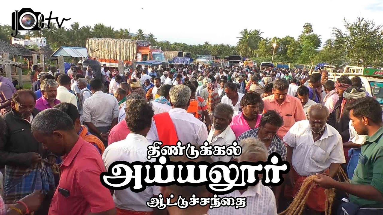 Ayyalur goat market | அயலூர் ஆட்டு சந்தை | dindigul santhai tamil nadu ...