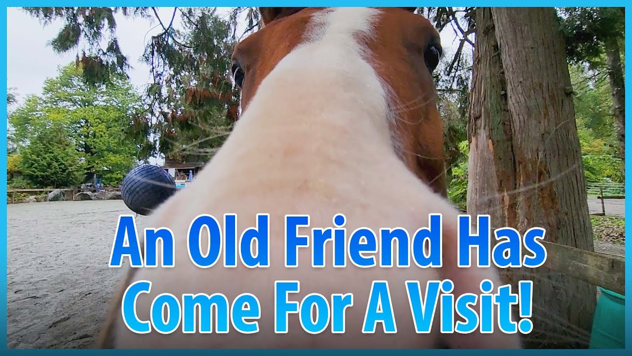 An Old Friend Is Back For A Visit! - YouTube