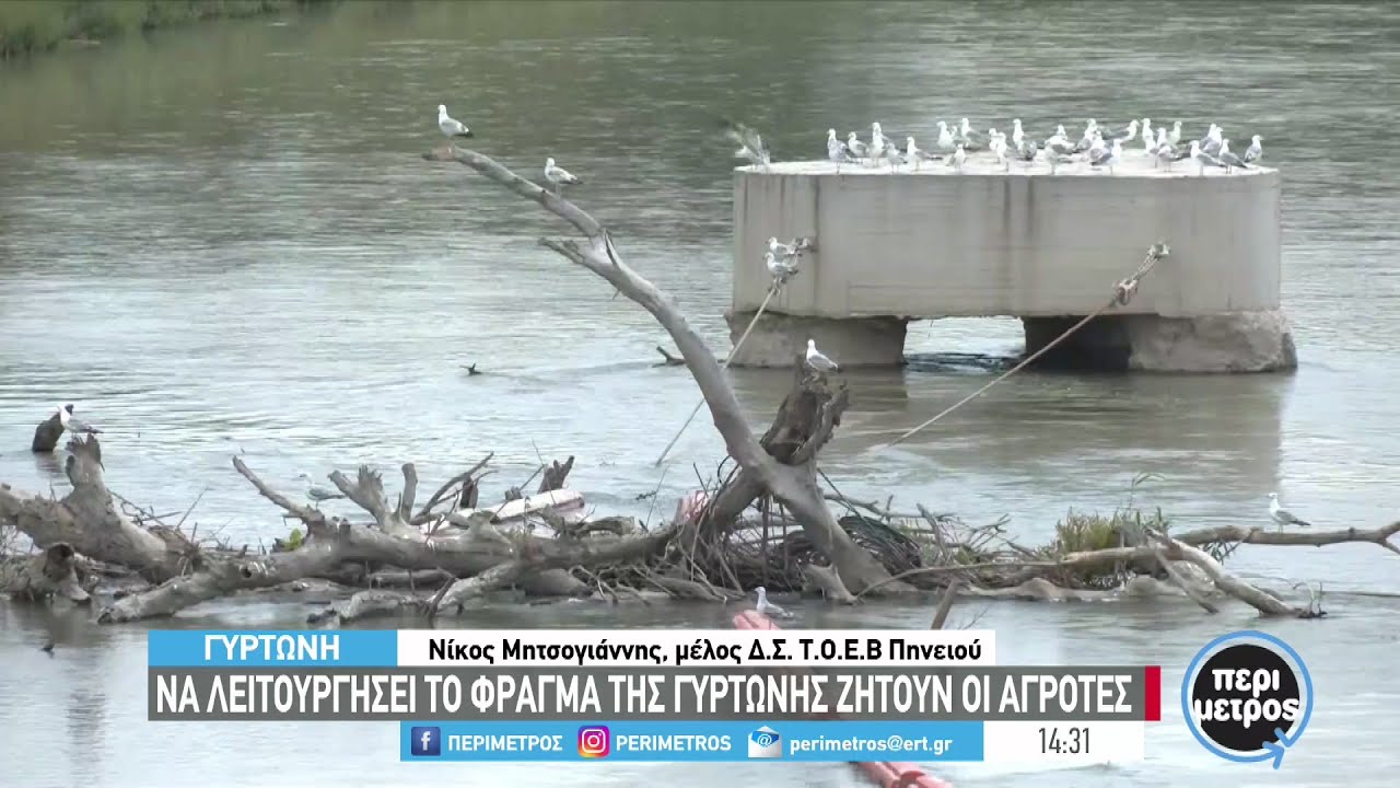 Να λειτουργήσει το φράγμα της Γυρτώνης ζητούν οι αγρότες | 30/05/2023 ...