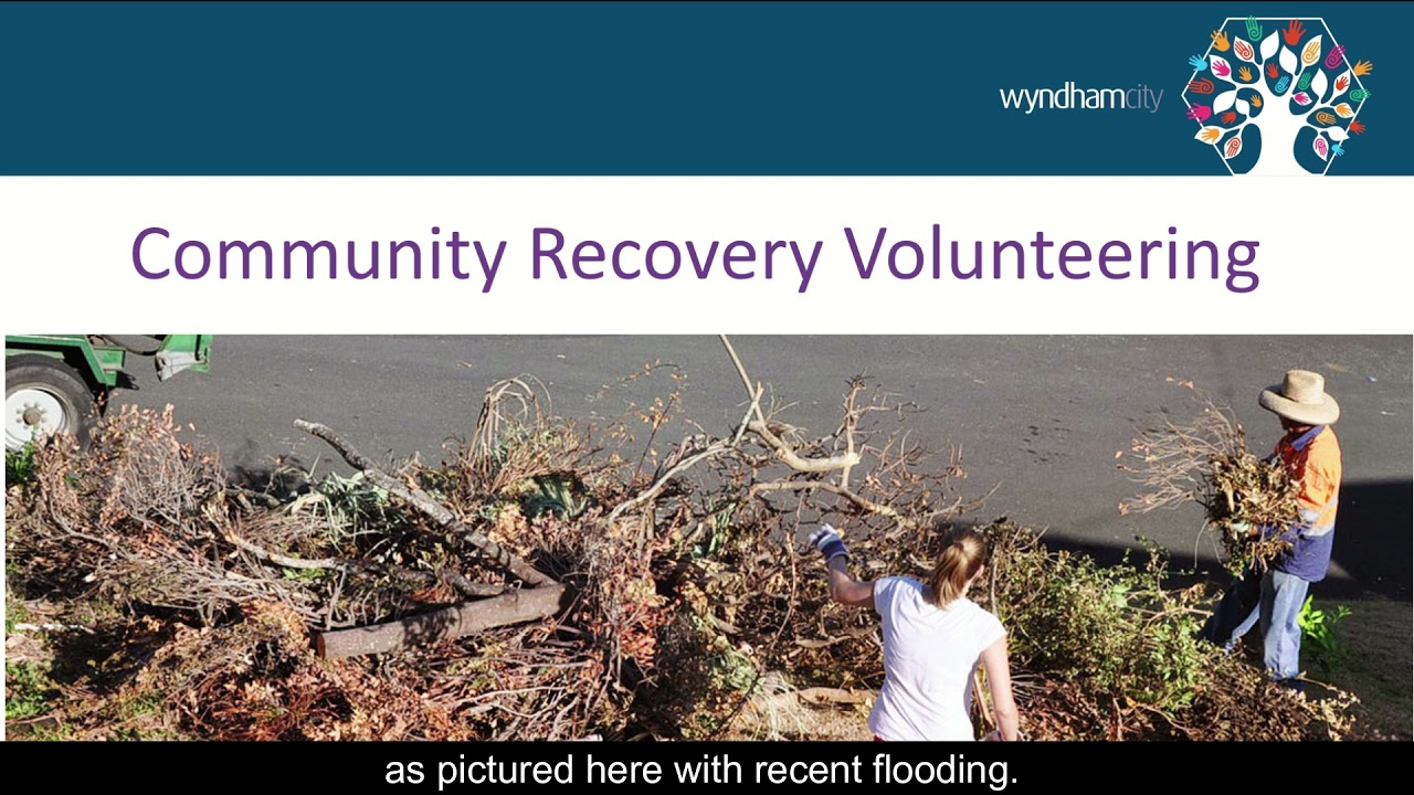 The Different Types of Volunteer Roles - YouTube