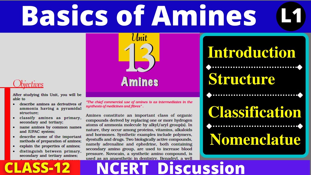 L1 Amines NCERT Class 12 | Structure Classification & Nomenclature of ...
