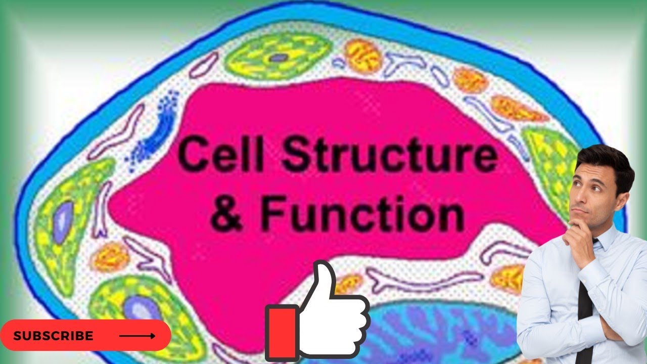 Cell Biology || Structure and Function of Cell || Easy By Animation # ...