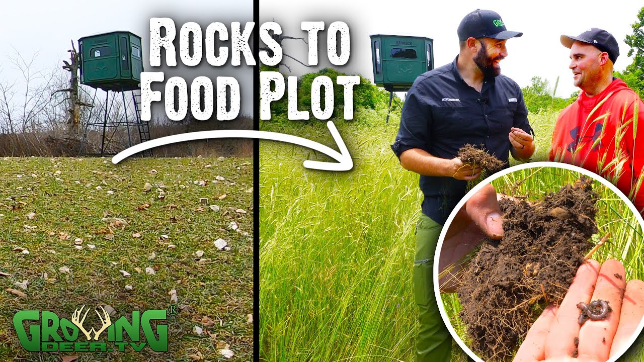 80 Acre Hunting Paradise! - Converting Rocky Soil into Productive Food ...