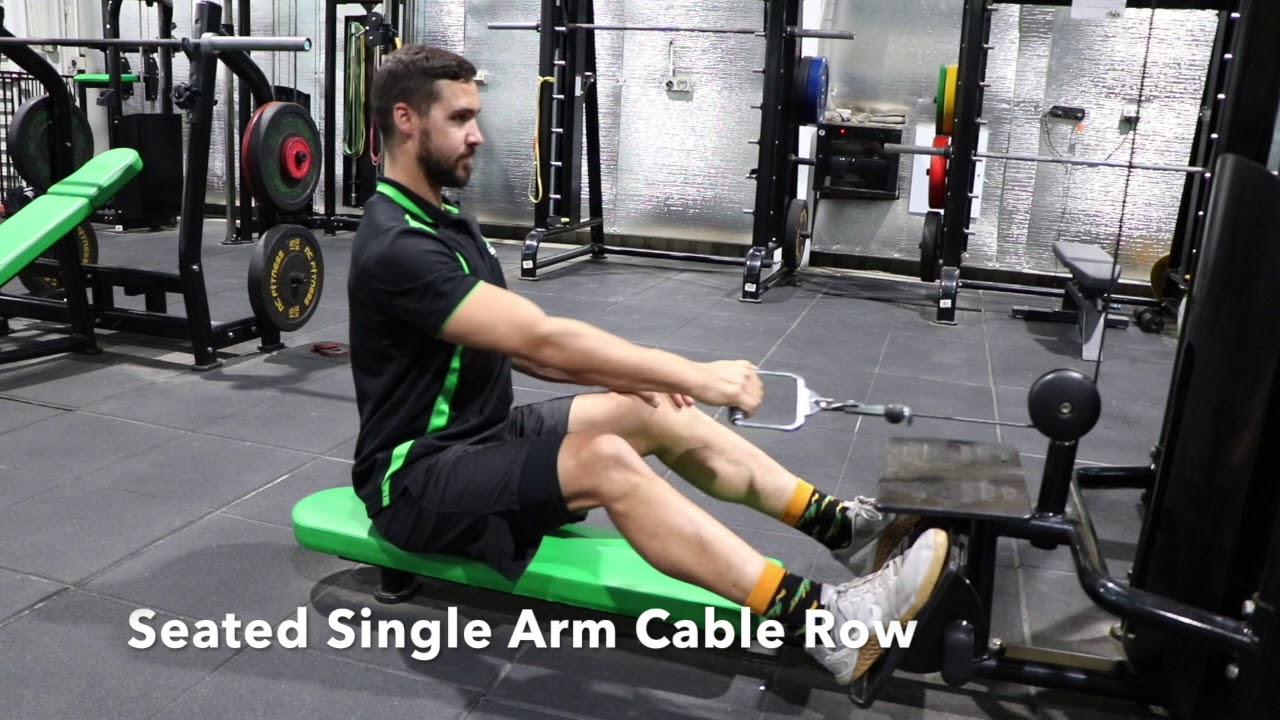 Seated Single Arm Cable Row - YouTube