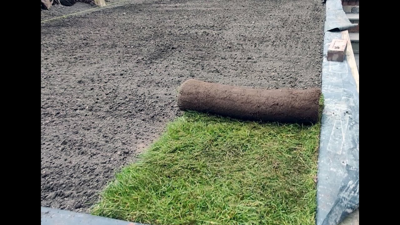 How to lay a new lawn from turf rolls | how to level top soil. - YouTube