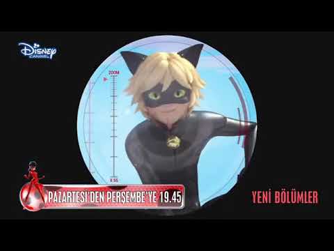 [ORİJİNAL!] Mucize: Uğur Böceği İle Kara Kedi - Yeni Bölüm Fragmanı!