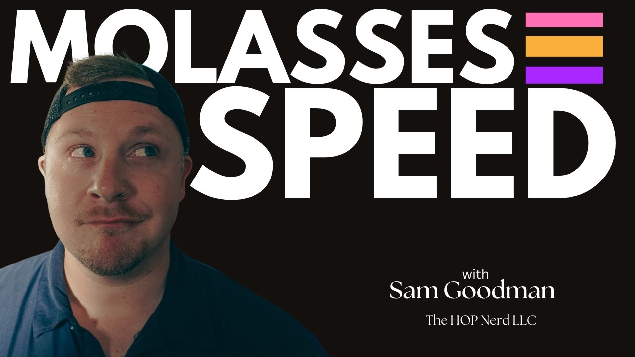 Losing Momentum on the HOP Journey? Let's talk "Molasses Speed!" - YouTube