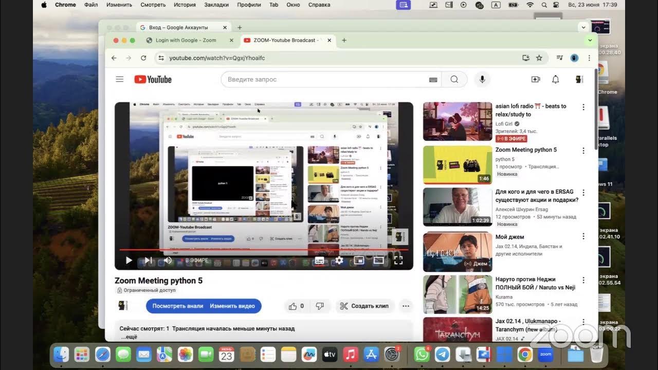 Zoom Meeting python 5 - YouTube