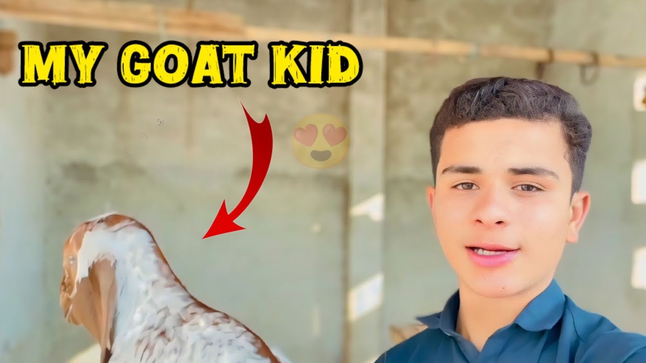 MY GOAT KiD|| TWO OF MY GOAT KIDS HAVE DIED|| IDO EXERSIZE DAILY - YouTube