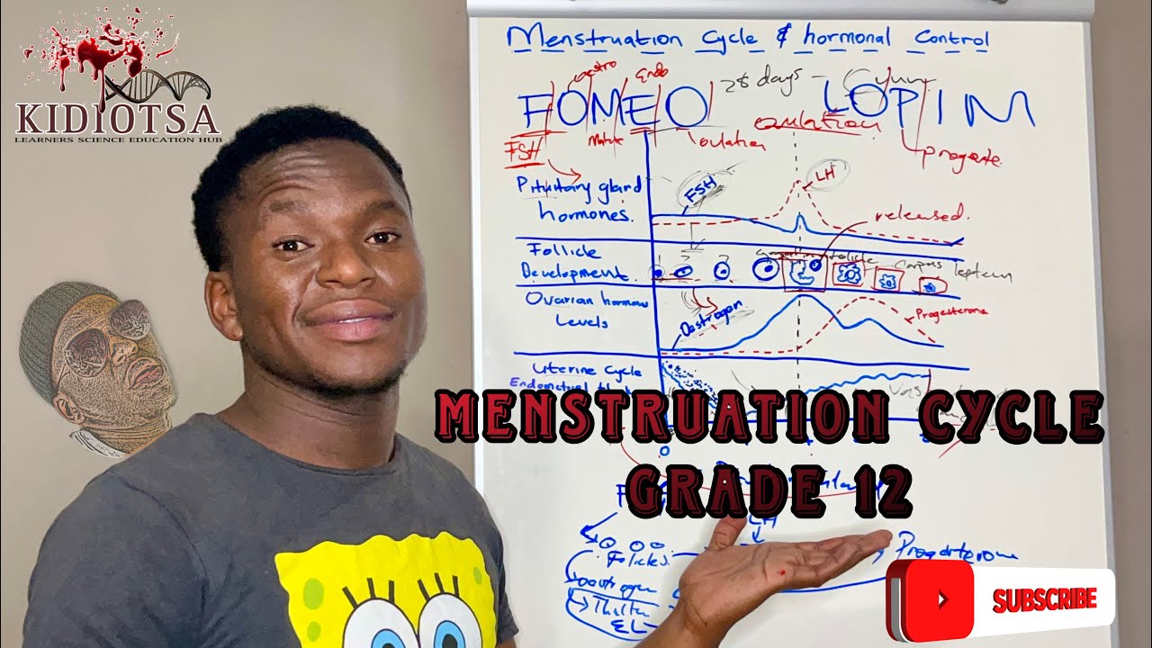 MENSTRUATION 🩸 CYCLE & HORMONAL CONTROLS| GRADE 12 #LIFESCIENCE | # ...