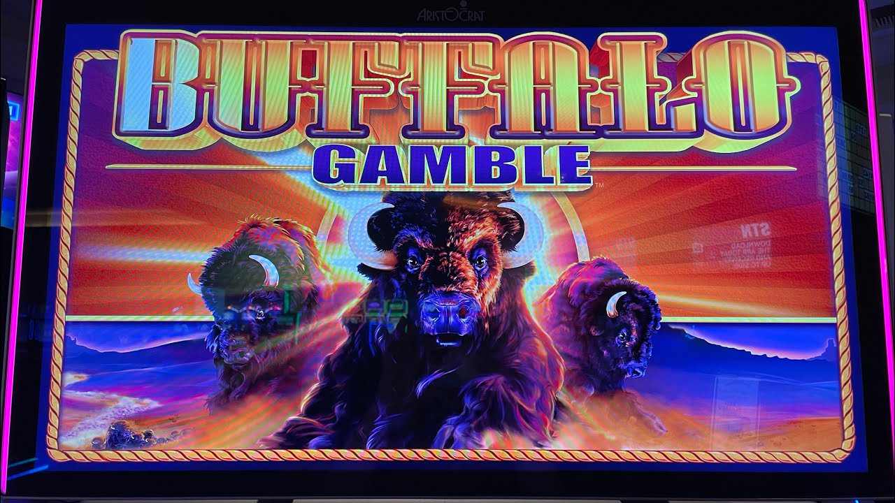 EXCITING NEW BUFFALO GAME! Buffalo Gamble Max Bet Slot Machine at ...