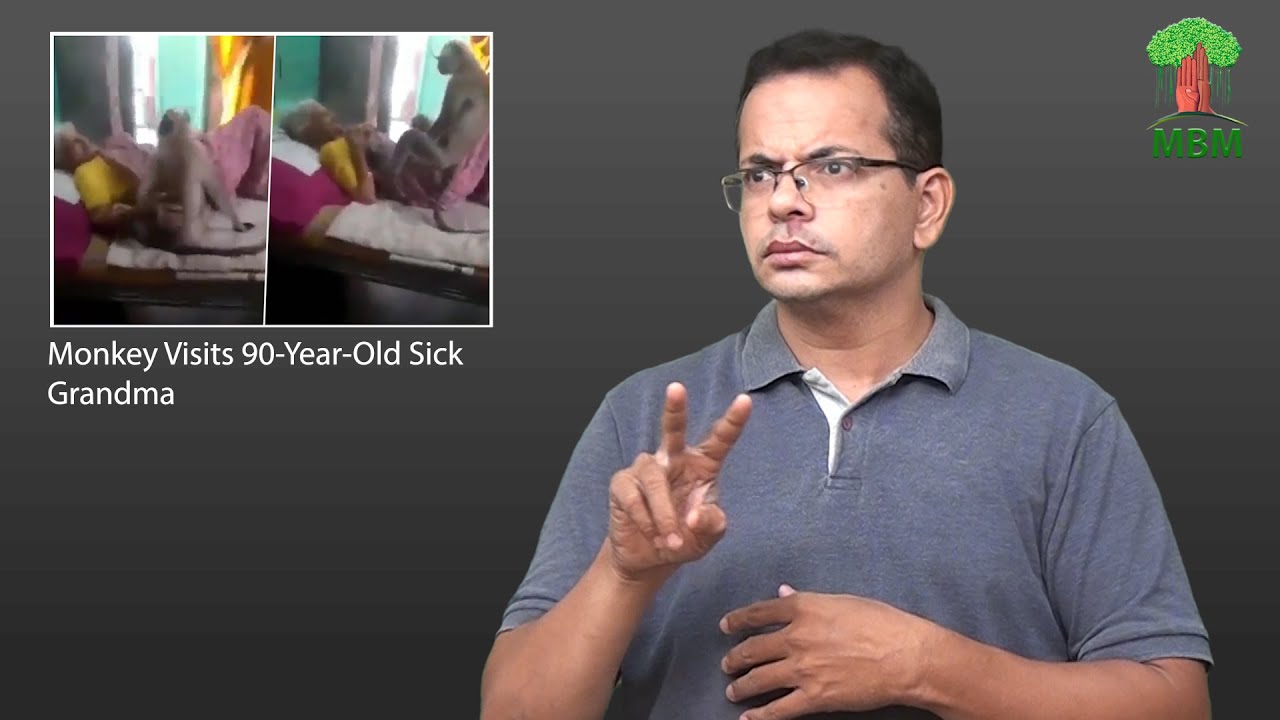 Monkey Visits 90 Year Old Sick Grandma - YouTube