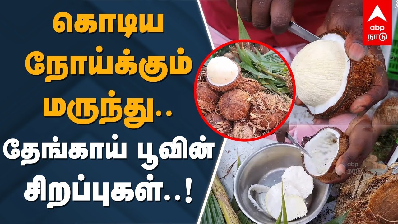 Thengai Poo Benefits | கொடிய நோய்க்கும் மருந்து.. தேங்காய் பூவின் ...