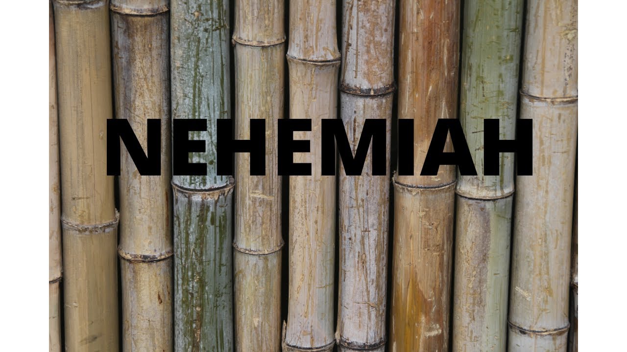 Nehemiah Chapter 4 - YouTube