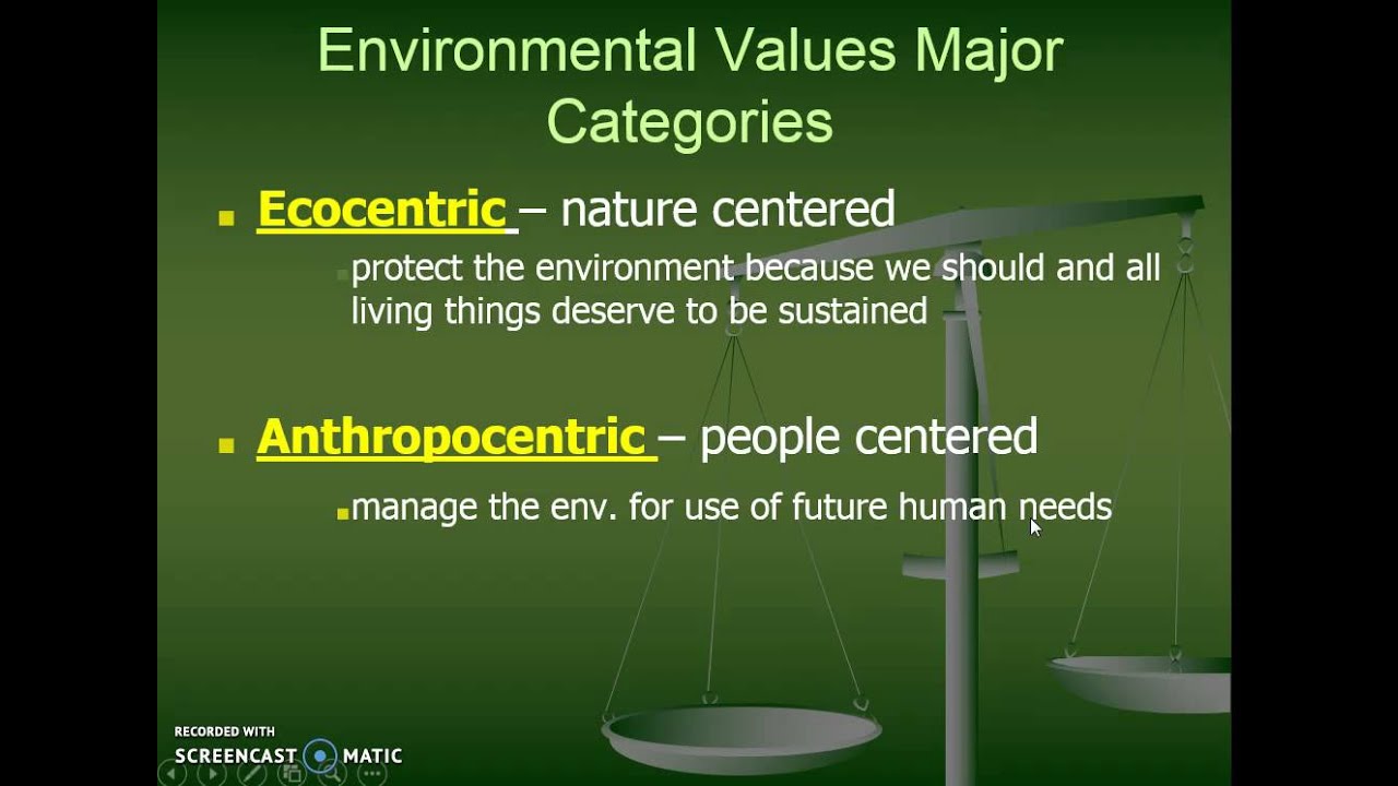 T1.1 Environmental Value Systems - YouTube