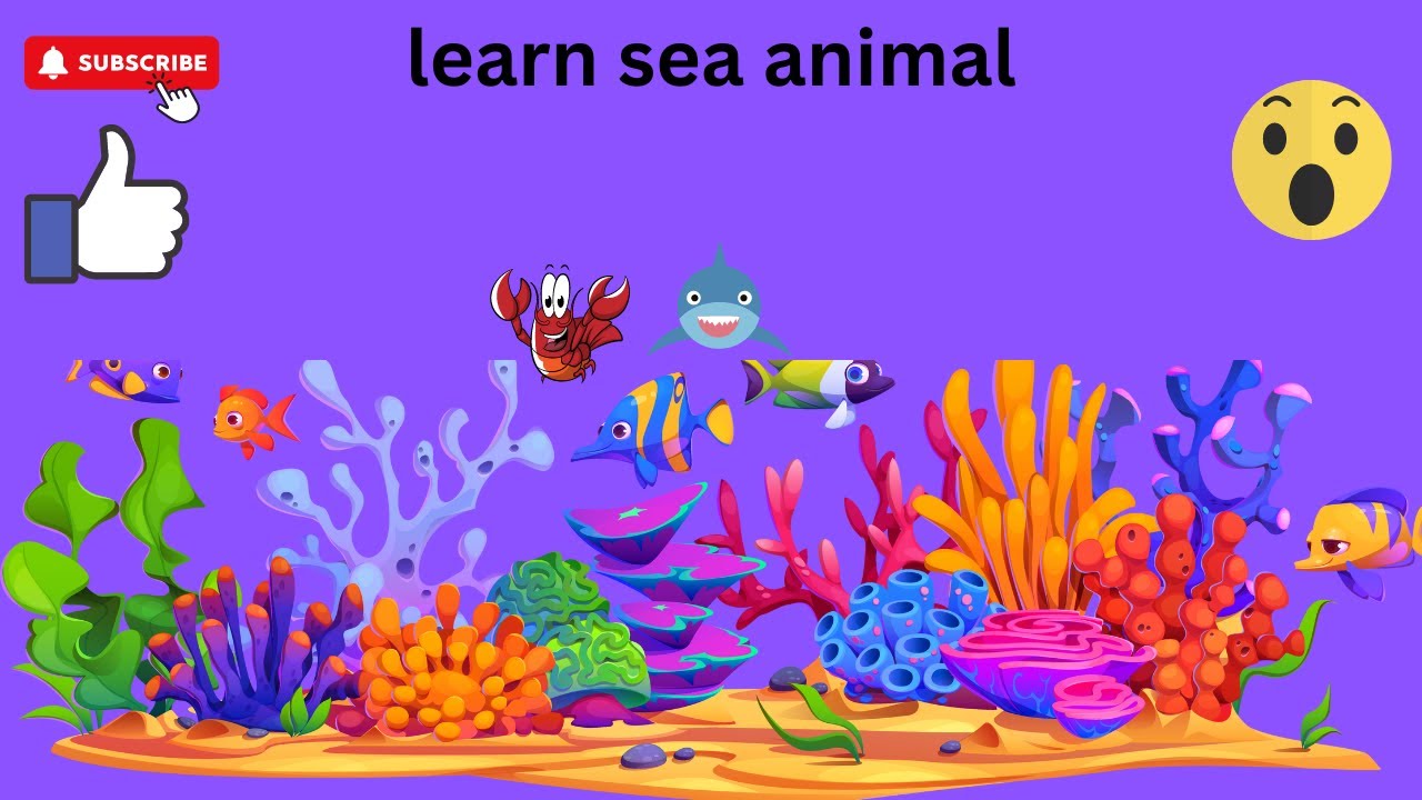 learn sea animals - YouTube