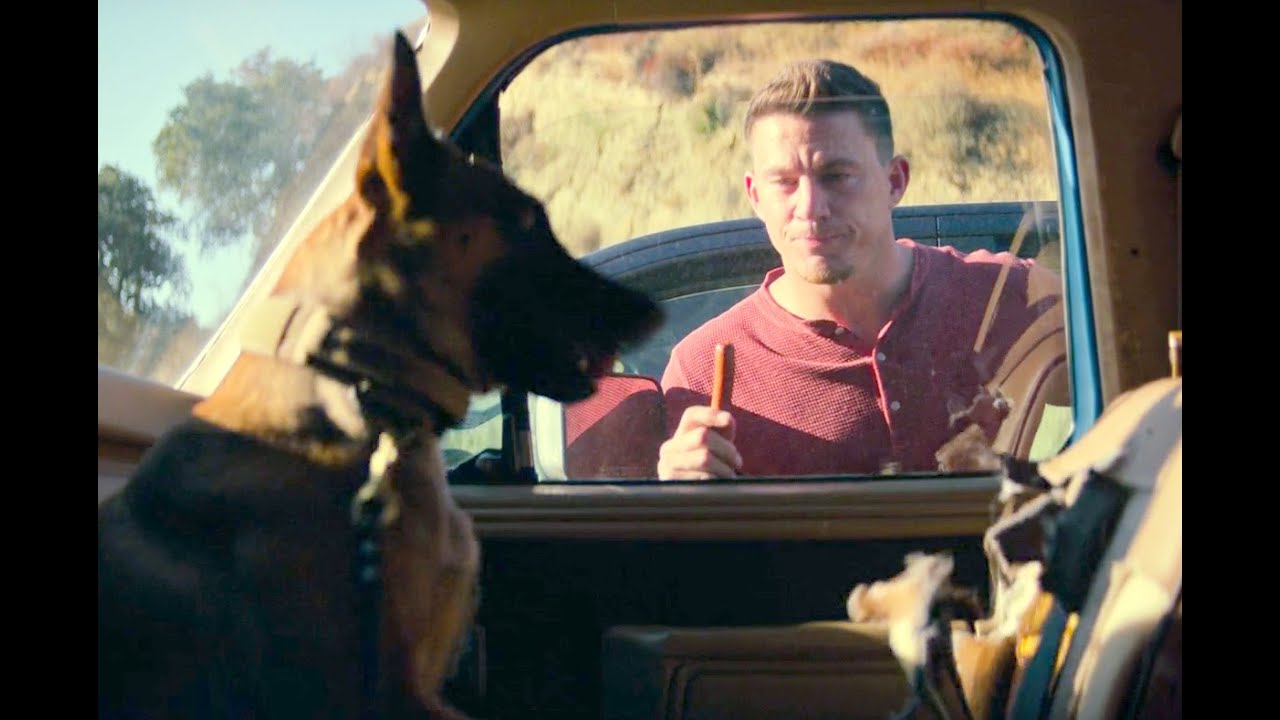 Scene from "Dog" (2022) starring dog actor Lana5 dog and Channing Tatum ...