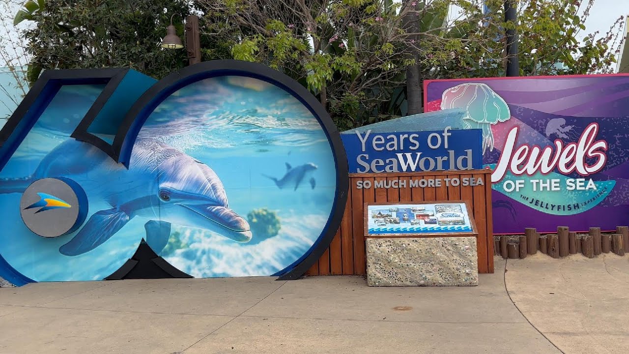 Let’s visit SeaWorld 🐳🌊 - YouTube