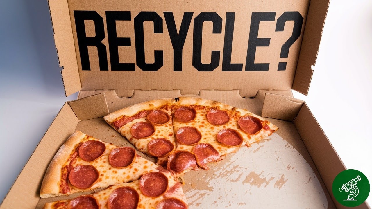 Can You Recycle Greasy Pizza Boxes? - YouTube
