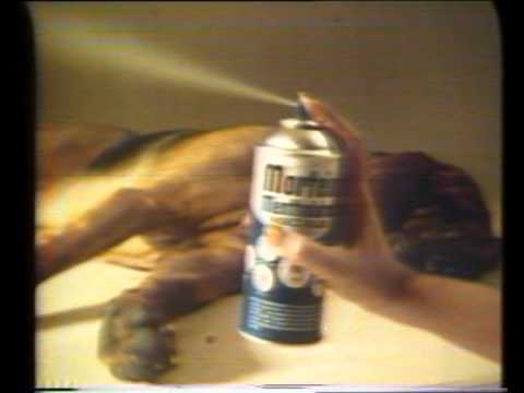 Funny video - Mortein TV commercial outtake blooper - YouTube