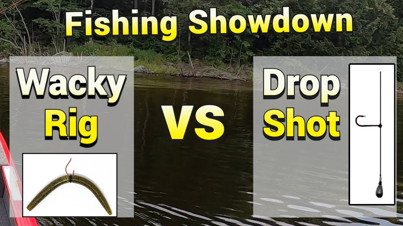 Wacky Rig VS Drop Shot! Which fishing rig wins? Making your prediction ...