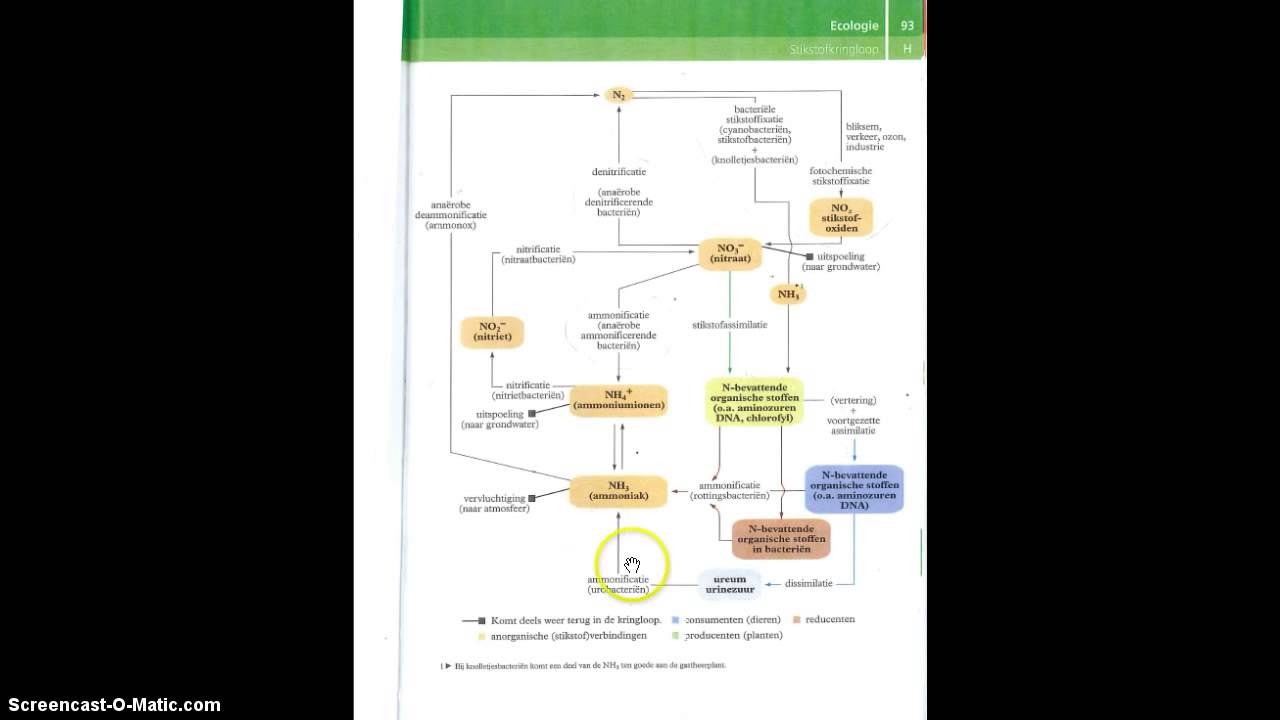 V4 3.3 Stikstofkringloop uit Binas - YouTube