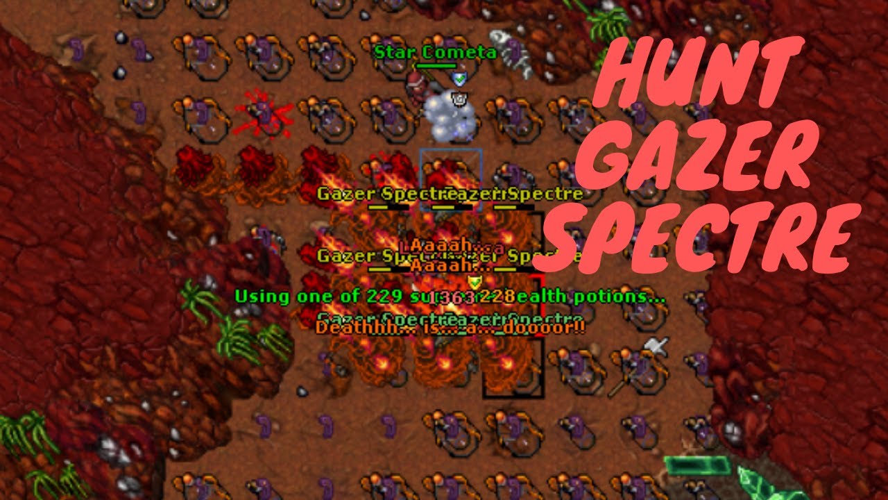 #tibia #live HUNT GAZER SPECTRE - YouTube
