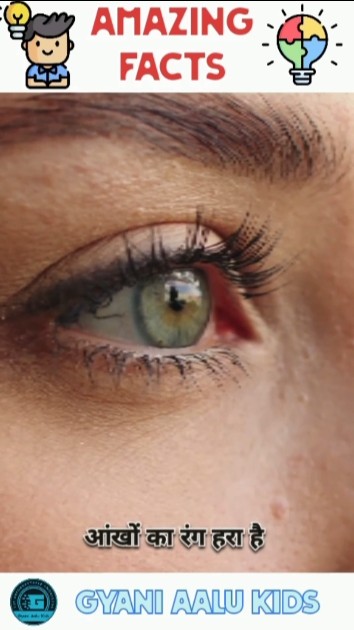 Amazing facts about eye || Human eyes facts ||#factshorts #facts # ...