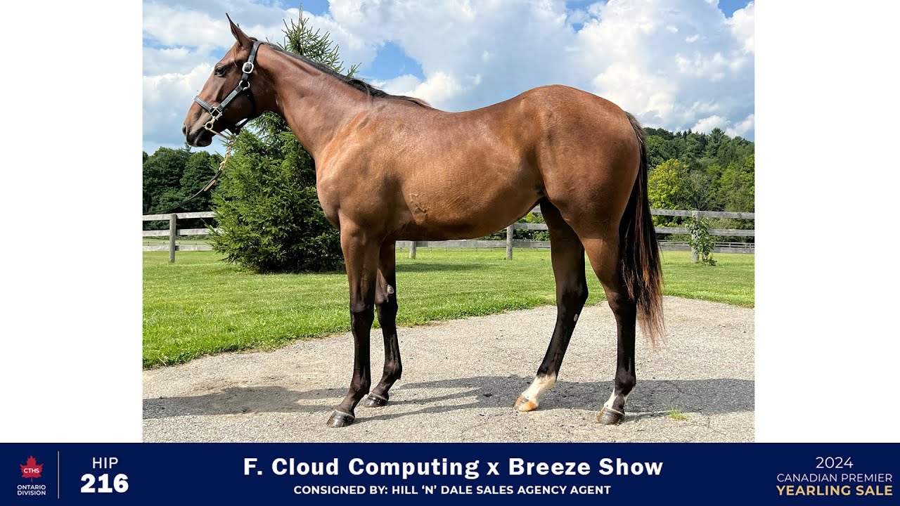 CTHS-ON 2024 - Hip 216 - f. Cloud Computing x Breeze Show - YouTube