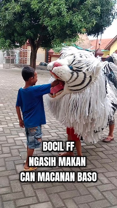 Bocil FF Ngasih Makan Can Macanan BASO - YouTube